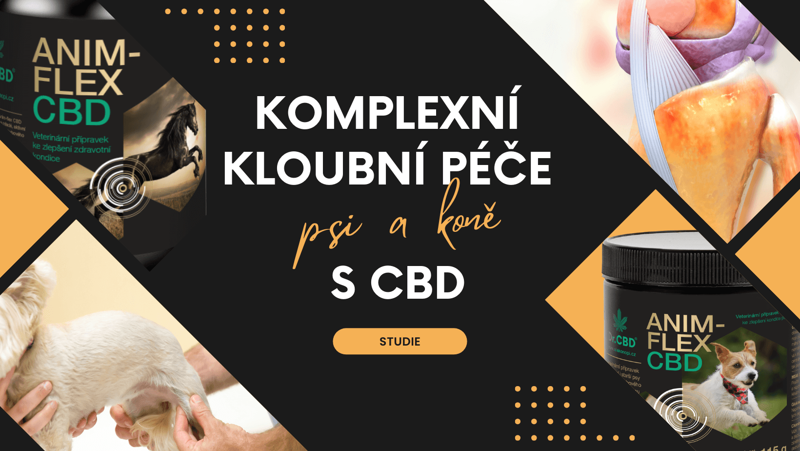 ANIM-FLEX CBD: Revoluční Kloubní Výživa pro Psy a Koně